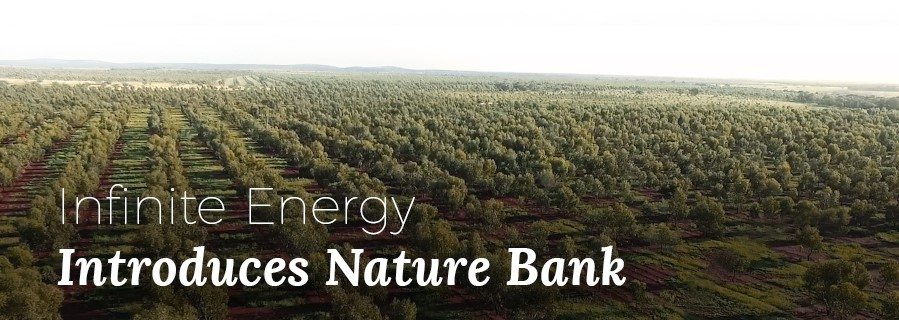 About Nature Bank | Business Electricity | Infinite Energy - Infinite ...